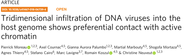 Hi-C测序揭示HBV病毒，Ad5病毒侵染人体细胞的染色质构象影响 - 知乎