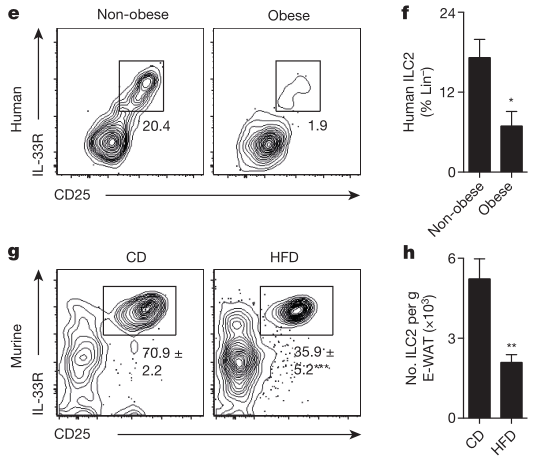 ILC2与脂肪代谢（二） - 知乎