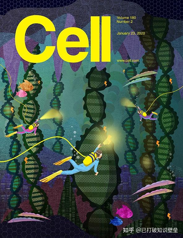 Nature、Science、Cell最新PDF合订本，都在这里了！ - 知乎