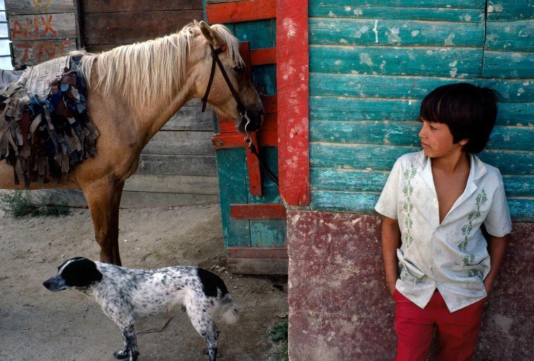 Alex Webb | 全集：99%的街拍照片都是失败的 - 知乎