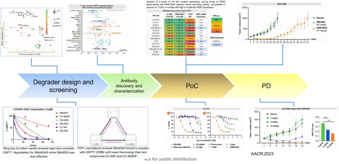强强联合：抗体偶联降解剂的研究进展及药理药效评估 - 知乎