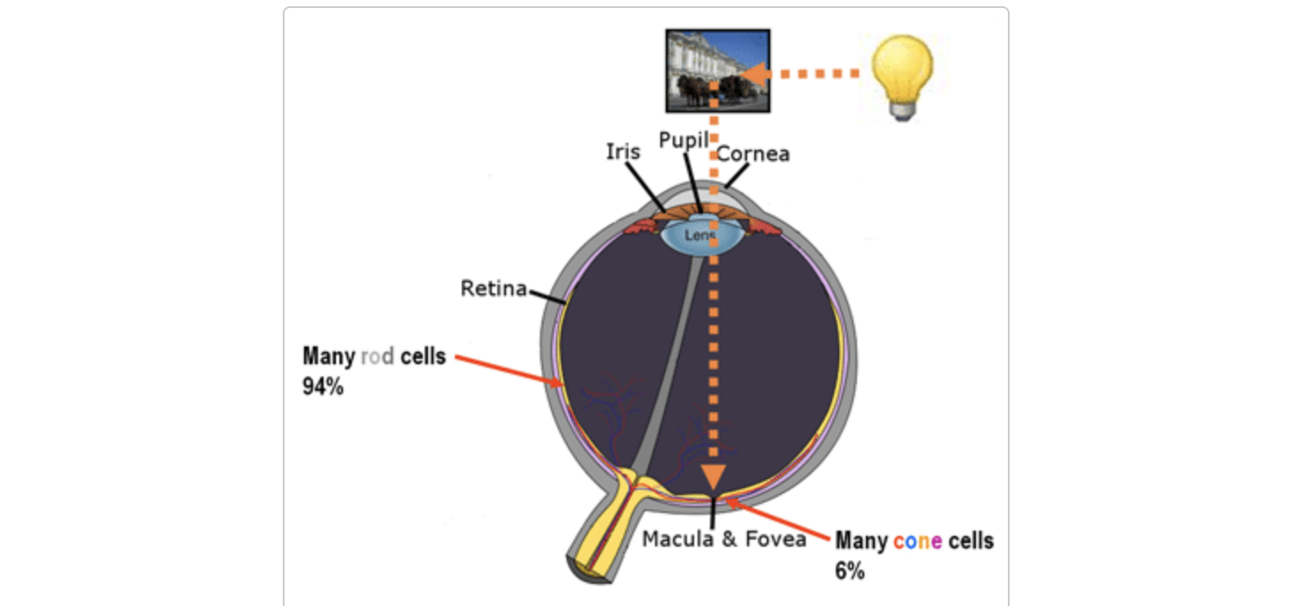 [论文笔记] Effective Receptive Field - 知乎
