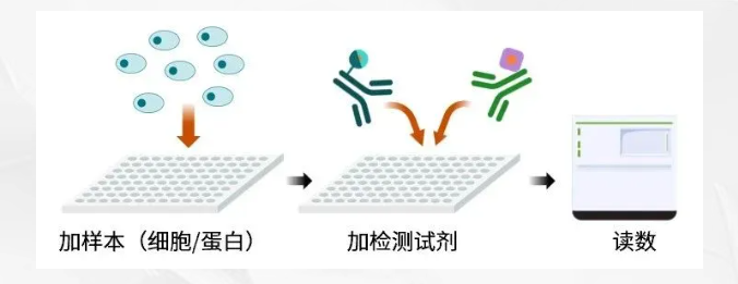 实验秘籍 | 瑞孚迪「HTRF技术」：给你的实验叠个BUFF！ - 知乎