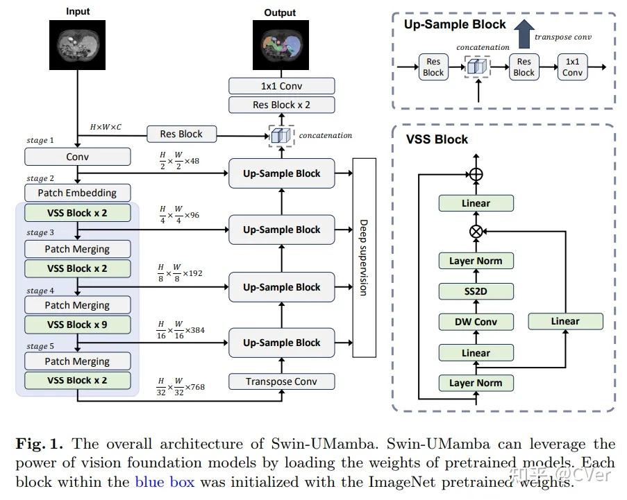 Mamba杀入MICCAI 2024！SegMamba和Swin-UMamba均收录！ - 知乎