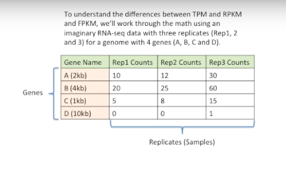 基因差异表达之一 - RPKM, FPKM, TPM, 傻傻分不清楚 - 知乎