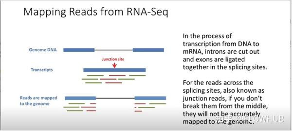 RNA测序数据回贴与组装 （RNA-Seq Mapping& Assembling） - 知乎