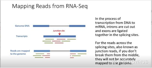 RNA测序数据回贴与组装 （RNA-Seq Mapping& Assembling） - 知乎