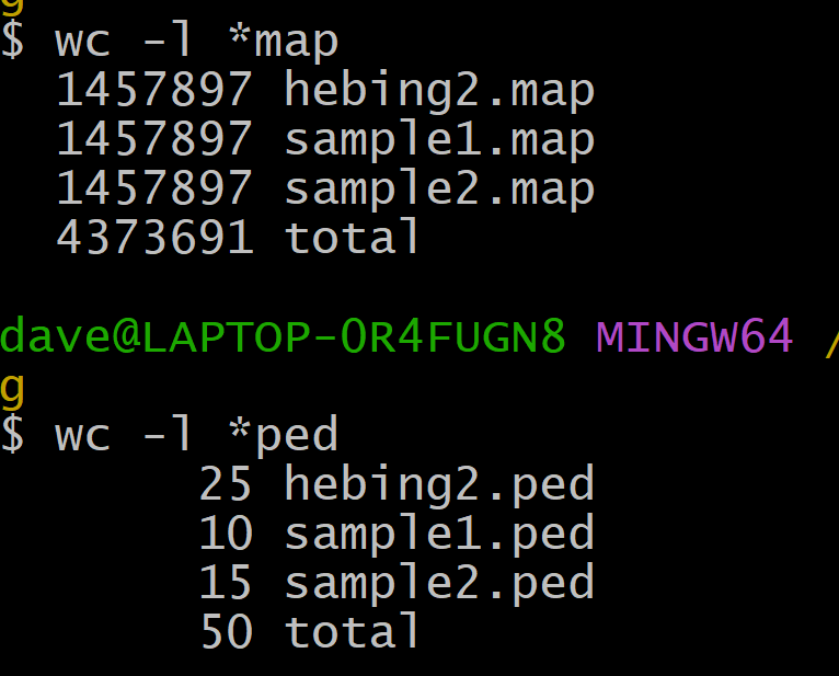 高效合并基因型文件：多个vcf&多个plink - 知乎