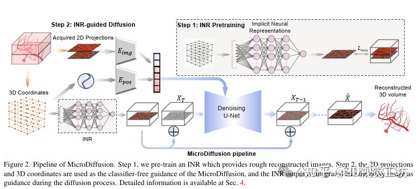 CVPR'24 | 从有限的2D显微投影到高清3D重建 - 知乎