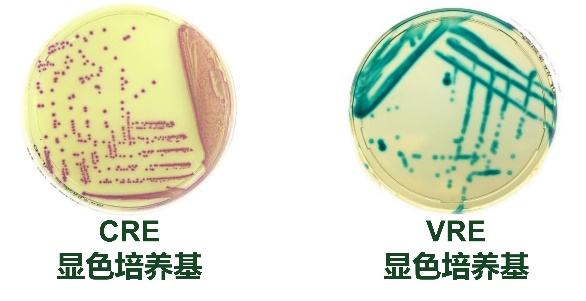 多重耐药菌主动筛查: CRE,VRE显色培养基 - 知乎