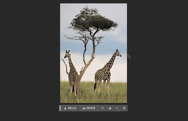 PS AI(beta)上线，可以直接用PS一键AI修图了！ - 知乎