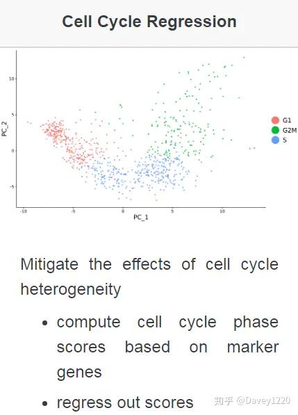 Seurat包学习笔记（八）：Cell-Cycle Scoring and Regression - 知乎