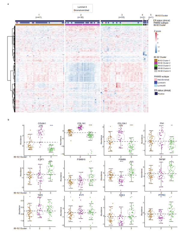 文献解读 | 蛋白质组学分析确定乳腺癌潜在生物标志物和治疗靶点 - 知乎