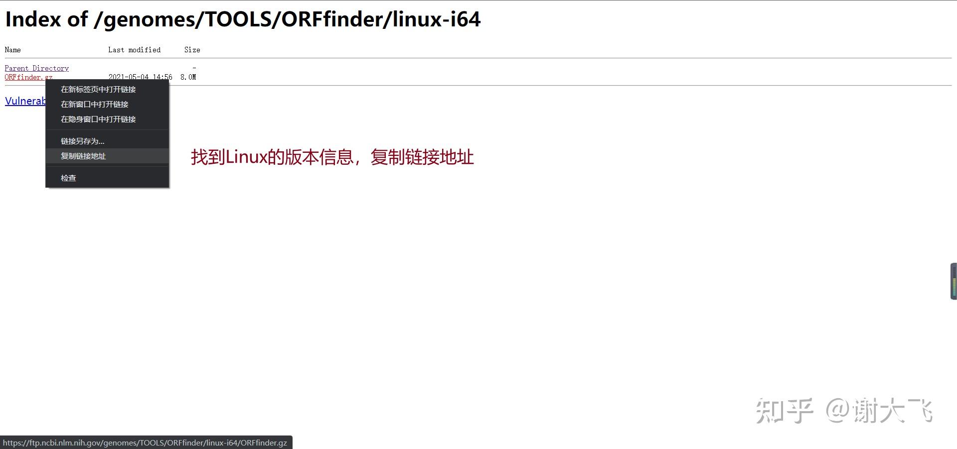 ORF finder 安装与使用 - 知乎