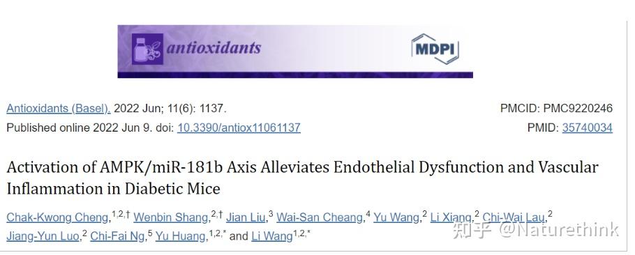 激活 AMPK/miR-181b 轴可减轻糖尿病小鼠的内皮功能障碍和血管炎症 - 知乎