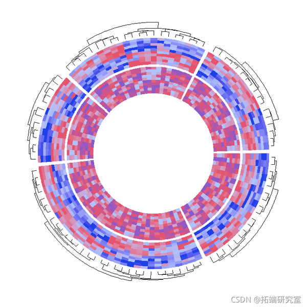 拓端tecdat|R语言绘制圈图、环形热图可视化基因组实战：展示基因数据比较 - 知乎