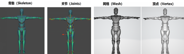 骨骼动画原理 - 知乎