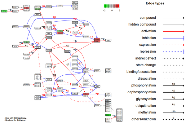 R语言KEGG信号通路富集分析（enrichplot、ggplot2、pathview绘图） - 知乎