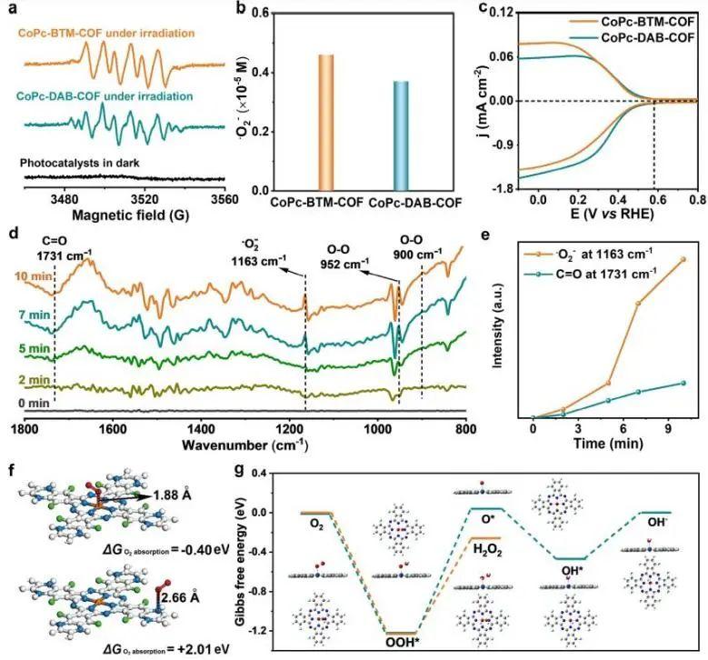 JACS：H2O2产率达到2096 μmol h-1g-1！可见光驱动CoPc-BTM-COF高效催化ORR - 知乎