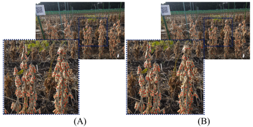 考虑特征水平的田间大豆种子计数和定位 - 知乎