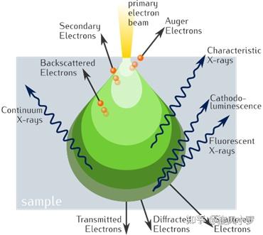 扫描电子显微分析(SEM) - 知乎
