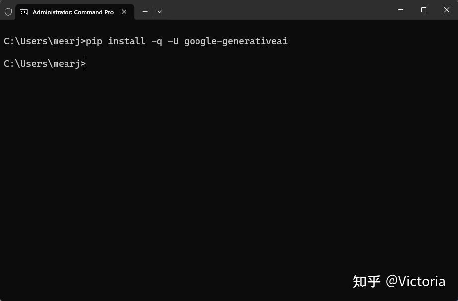 如何访问和使用 Google Gemini API 密钥（附示例） - 知乎