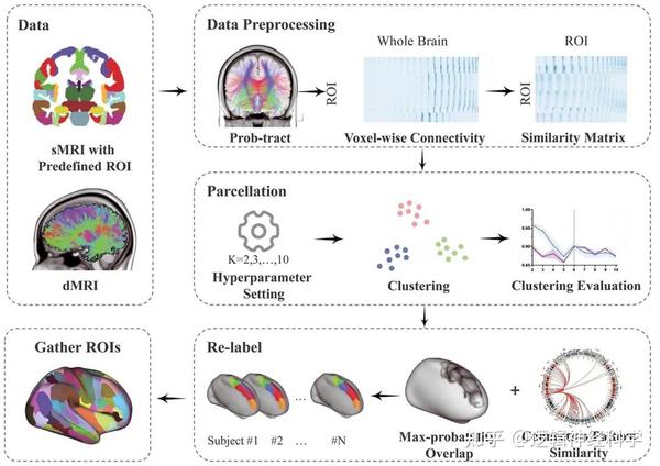 Cereb Cortex︱蒋田仔团队报道基于结构连接的脑网络组儿童图谱 - 知乎