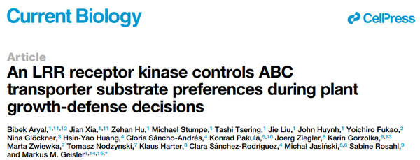 Current Biology | 一个LRR受体激酶和ABC转运蛋白调控植物的生长—防御平衡 - 知乎