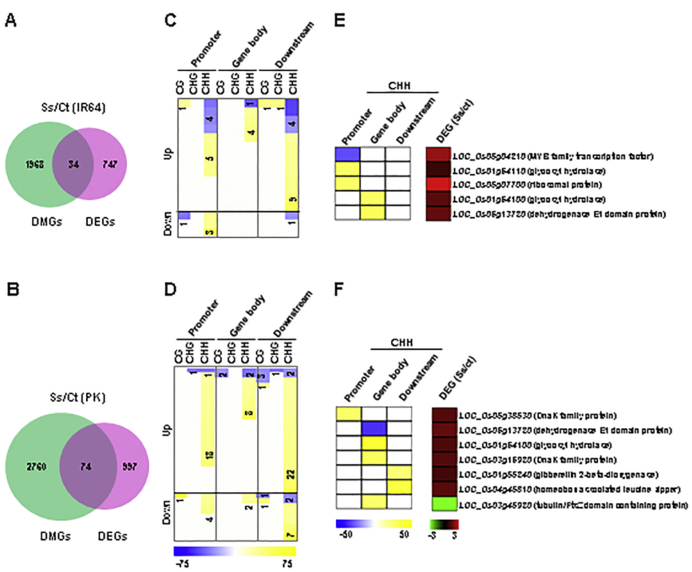 3文一览：DNA甲基化在水稻植物生长发育的表观遗传分子基础研究｜易基因 - 知乎