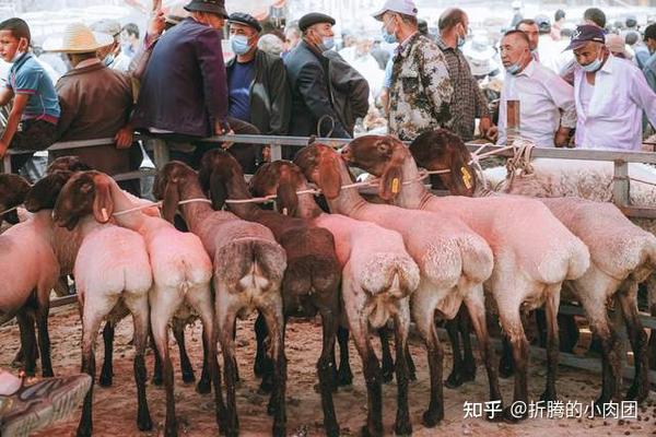 中国最西部的城市新疆喀什，来这里玩什么，这些景点千万别错过 知乎