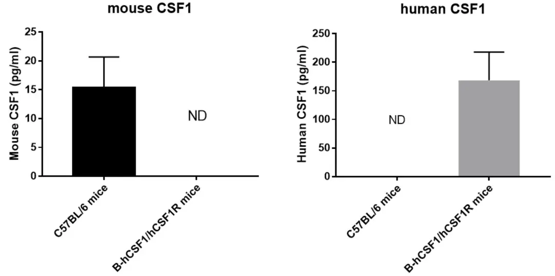 巨噬细胞类靶点CSF1/CSF1R-抗癌药物新布局 - 知乎