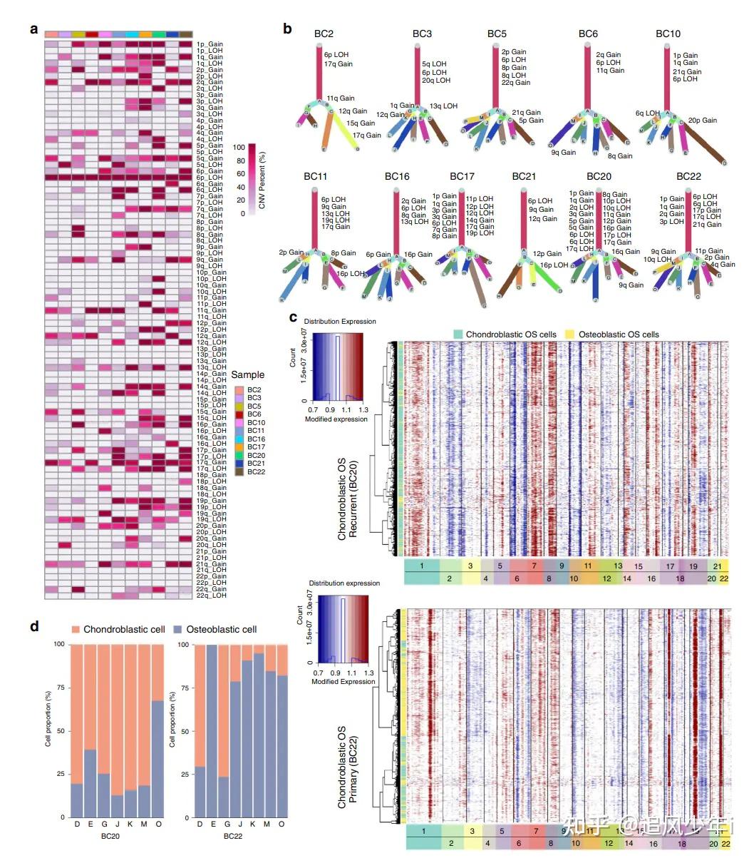 10X单细胞（10X空间转录组）肿瘤数据分析之肿瘤进化树 - 知乎