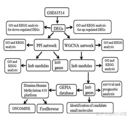 GEO和TCGA数据挖掘生物信息文章解读（宫颈癌） TCGA GEO - 知乎