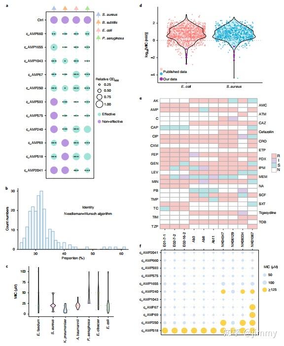 Identification of antimicrobial peptides from the human gut microbiome ...