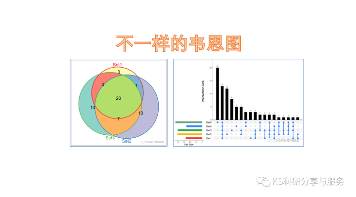 转录组不求人系列(十一): R语言绘制不一样的韦恩图 - 知乎