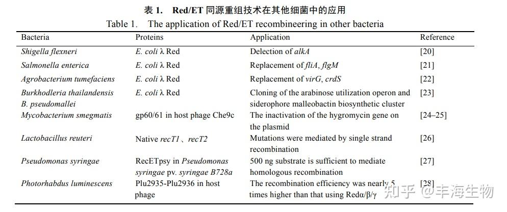 同源重组 Red/ET是什么技术？ - 知乎