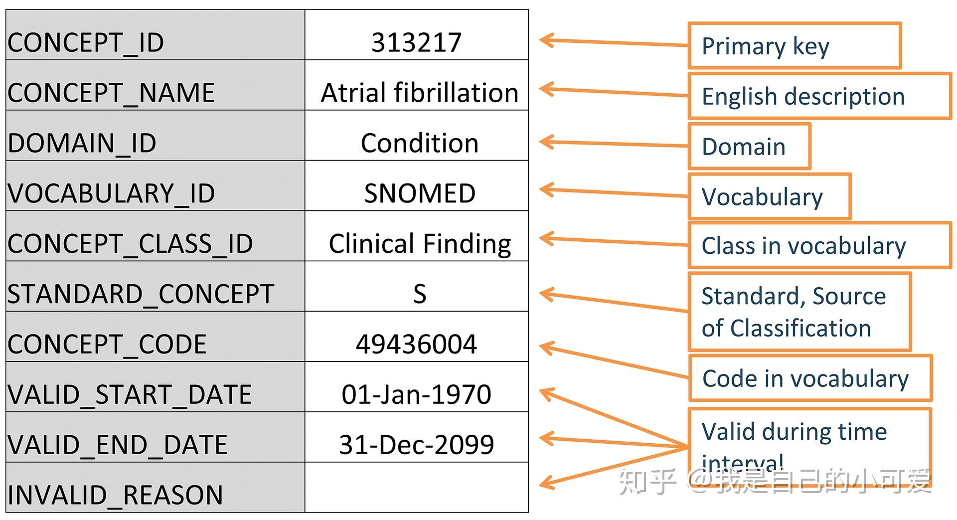 一起来了解OMOP标准化术语集 - 知乎