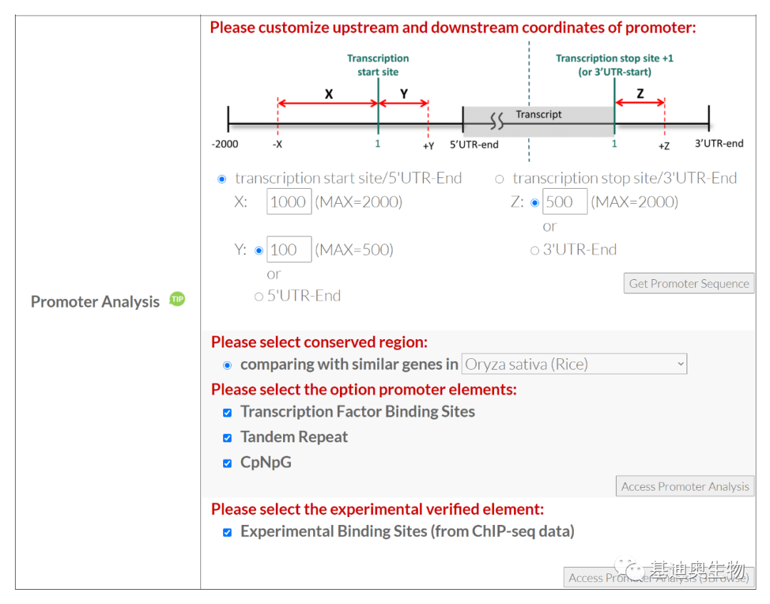 使用PlantPAN 3.0进行启动子和转录因子分析 - 知乎