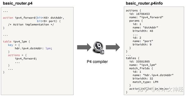 P4 与 P4Runtime 介绍 - 知乎