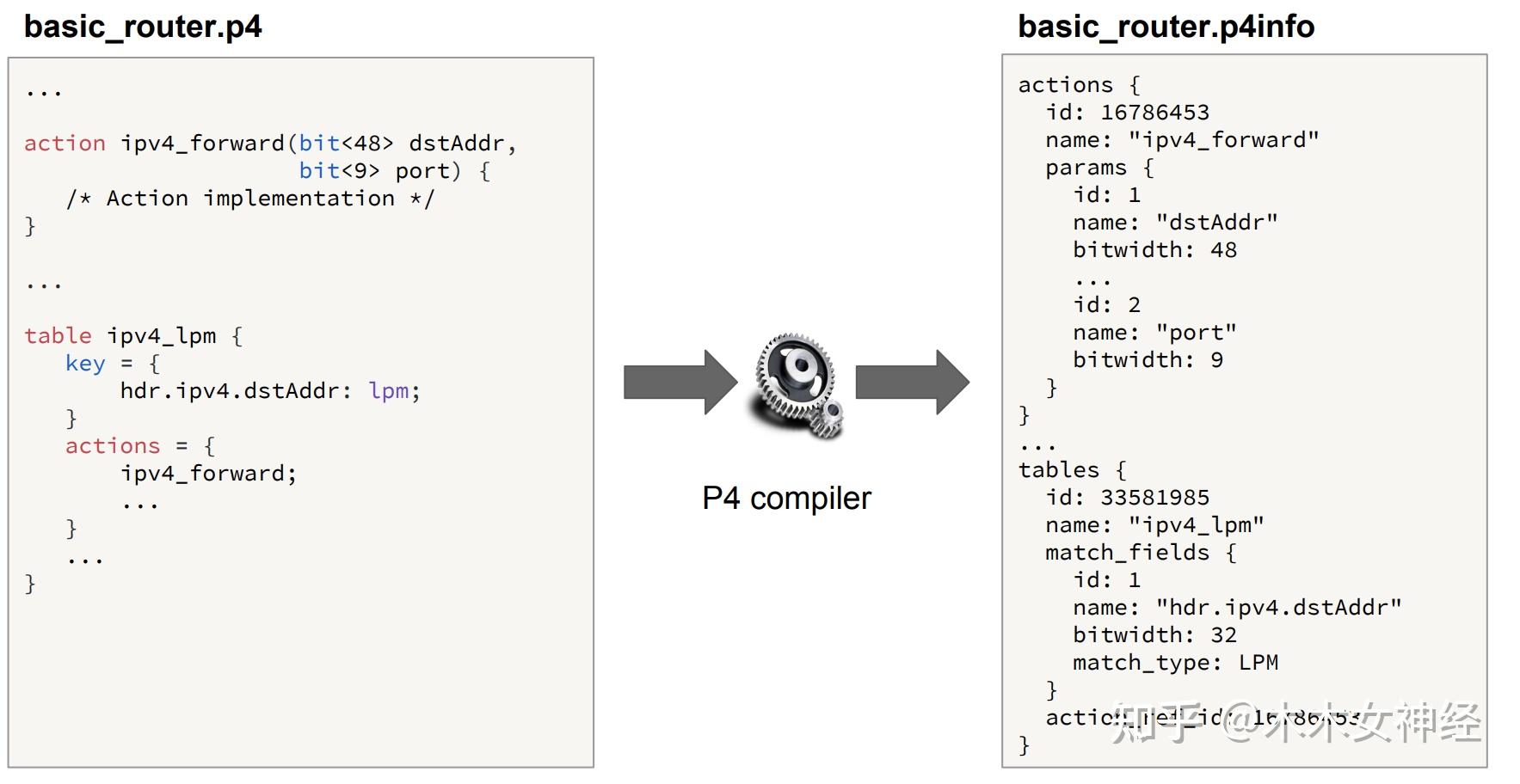 P4 与 P4Runtime 介绍 - 知乎