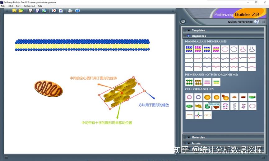 如何做出论文中高质量的通路图？在线推荐几款简单易用的作图工具