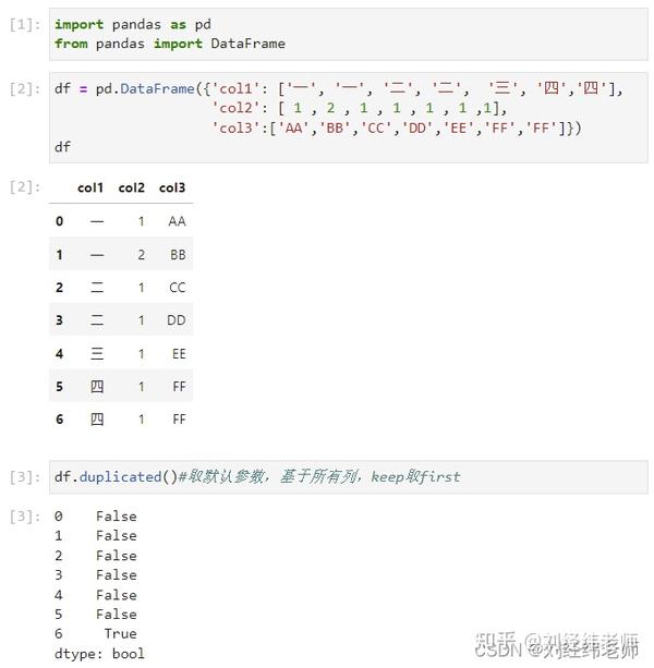 Python dataframe DataFrame duplicated 