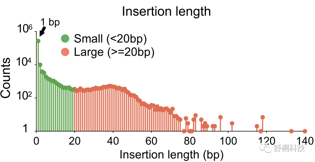 基因脱靶分析技术｜PEM-seq全面解析染色体重排易位 - 知乎
