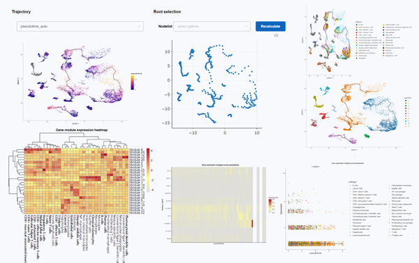SynEcoSys单细胞数据库版本升级，功能全面优化 （内含免费福利） - 知乎