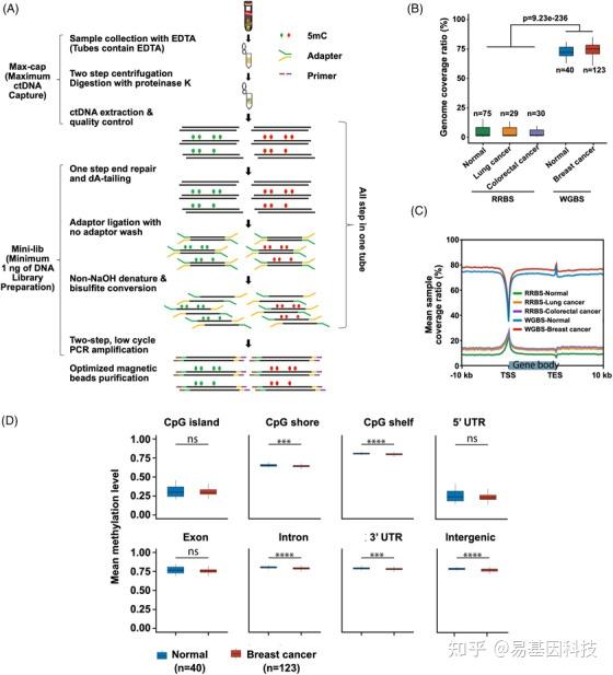 易基因｜ctDNA甲基化测序分析（ctDNA-WGBS）用于癌症检测和分子分型 | 精准医学 - 知乎