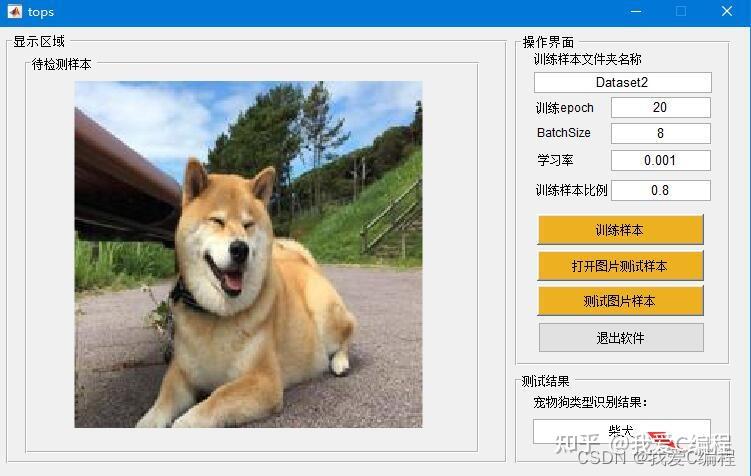 m基于深度学习网络的宠物狗种类识别系统matlab仿真,带GUI界面 - 知乎