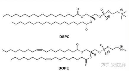 LNP成分及作用 - 知乎