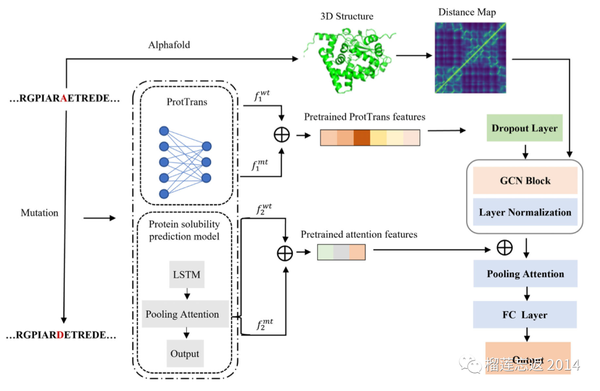 DeepMutSol：预测突变对蛋白质溶解性的影响 - 知乎