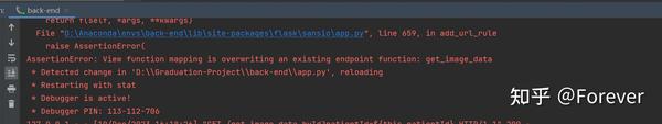 AssertionError: View function mapping is overwriting an existing ...