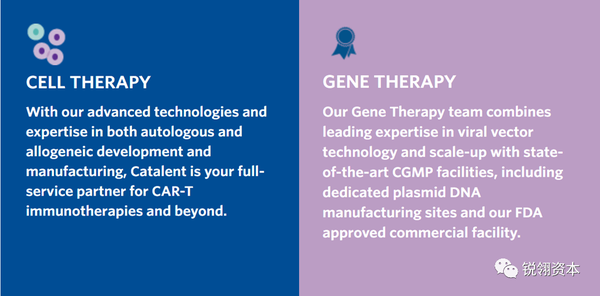 行研报告 | CGT专题（五）-细胞基因治疗CDMO - 知乎